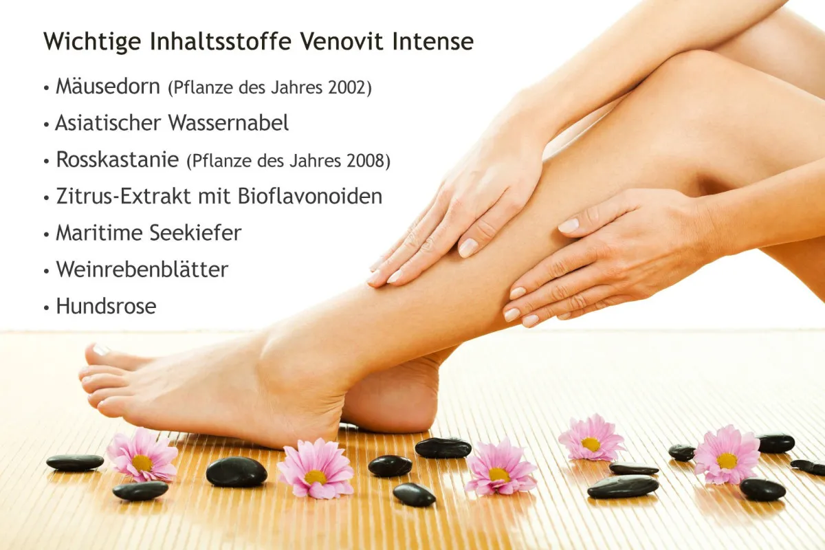 Venovit von Natura Vitalis - 120 Kapseln